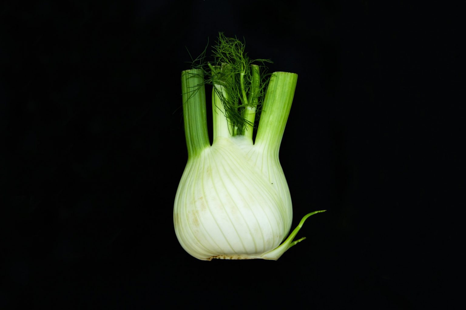 Home - Pure Food & Health Solutions